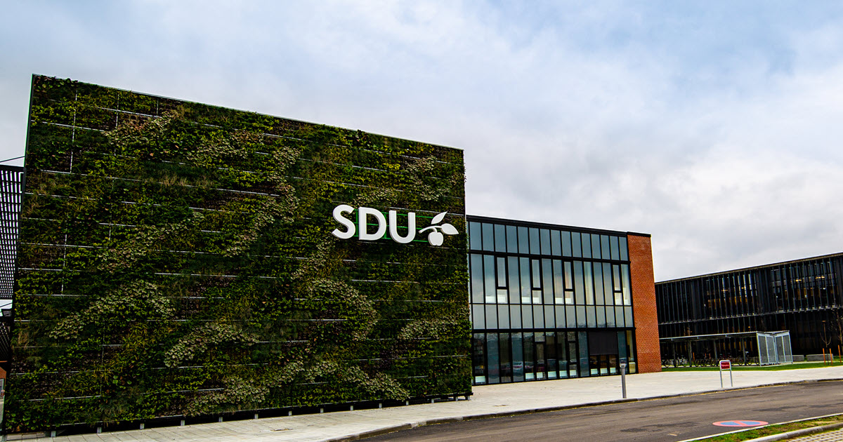 Psykologi på vestjysk: SDU og Education Esbjerg i banebrydende samarbejde om ny ...